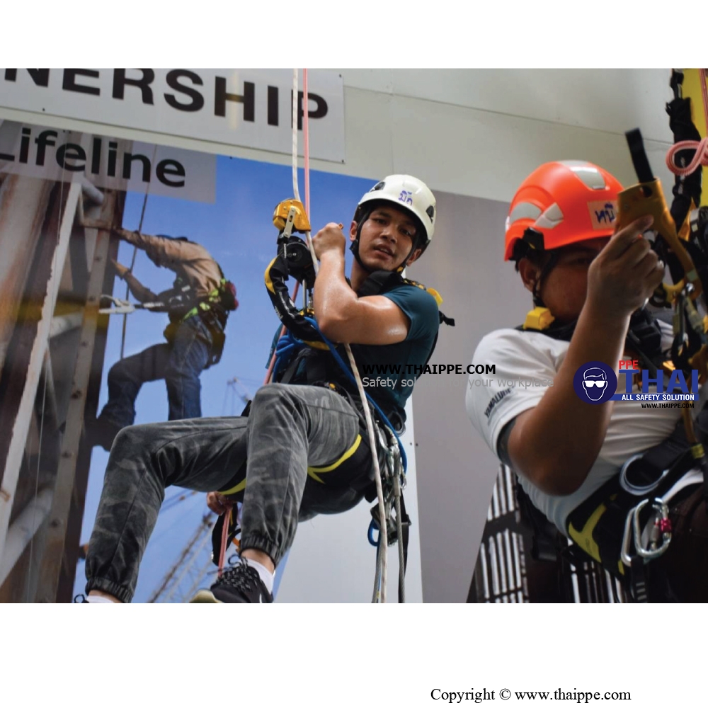 คอร์สอบรม Rope Access Level 2 ราคานี้/คน | THAIPPE All Safety Solution